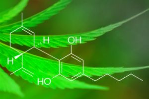 Kanabo to acquire European medical cannabis business | The Pharmaletter
